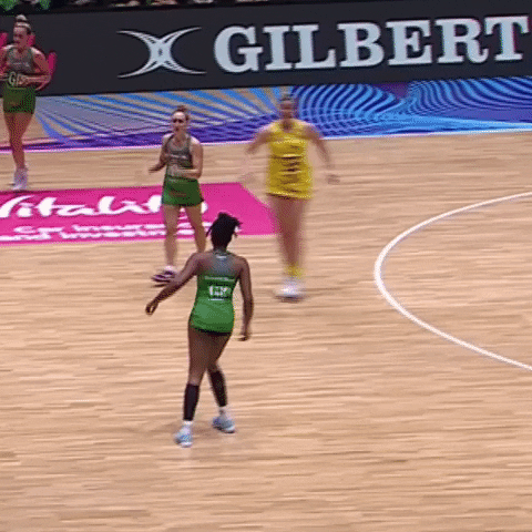 Vnsl GIF by walesnetball - Find & Share on GIPHY