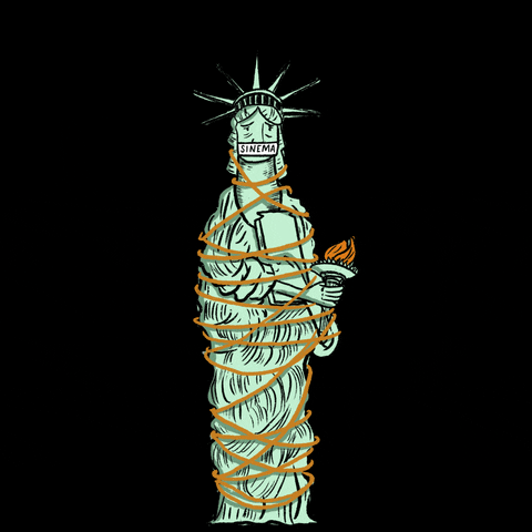 Voting Rights Congress GIF by Creative Courage - Find & Share on GIPHY