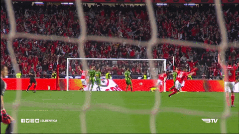 Celebrate Sl Benfica GIF by Sport Lisboa e Benfica - Find & Share on GIPHY