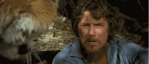 Roar GIF - Find & Share on GIPHY