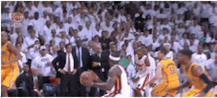 Crab Dribble GIFs - Find & Share on GIPHY