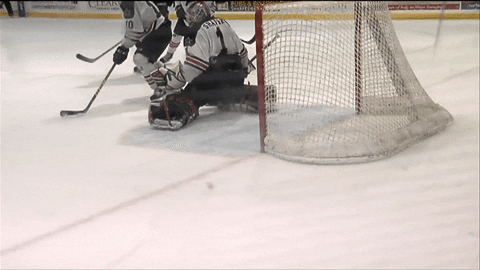 Goalie Save GIF by Robert Morris University Athletics - Find & Share on ...