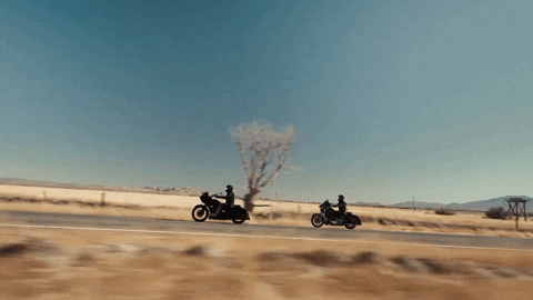 Ride GIF by Harley-Davidson - Find & Share on GIPHY