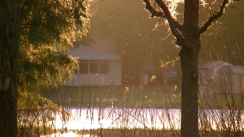 Summer Sunset GIF by Jerology - Find & Share on GIPHY