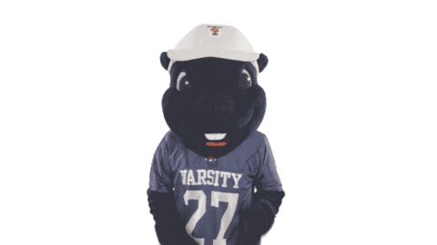 Football Mascot Sticker by University of Toronto for iOS & Android | GIPHY