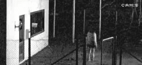 Window GIFs - Find & Share on GIPHY