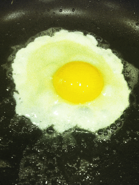 Egg GIFs - Find & Share on GIPHY