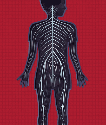 Nervous GIF - Find & Share on GIPHY