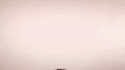 Shocked No Way GIF by Shalita Grant - Find & Share on GIPHY