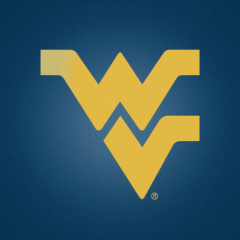 Lets Go Wvu GIF by WestVirginiaU - Find & Share on GIPHY