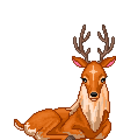 Transparent GIF Sticker - Find & Share on GIPHY