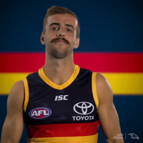 Jordan Gallucci Afl GIF by Adelaide Crows - Find & Share on GIPHY