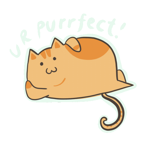 Chonky You Are Perfect Sticker for iOS & Android | GIPHY