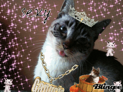 Blingee GIF - Find & Share on GIPHY