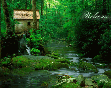 River GIF - Find & Share on GIPHY