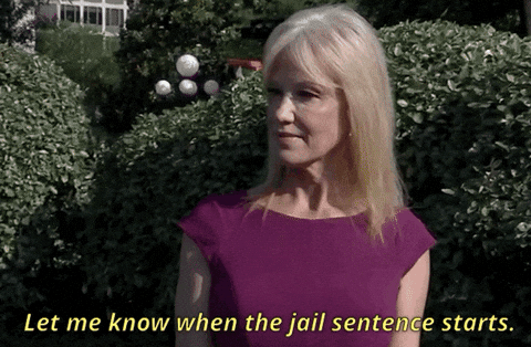 Kellyanne Conway The Hatch Act GIF - Find & Share on GIPHY