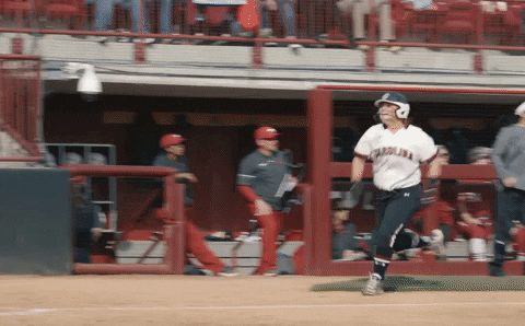 Softball GIF by gamecocksonline - Find & Share on GIPHY