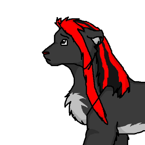 Shadow GIFs - Find & Share on GIPHY