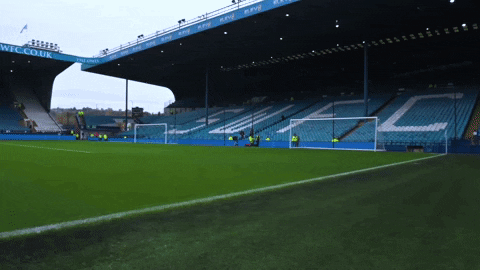Goals Stadium GIF by Sheffield Wednesday Football Club - Find & Share ...