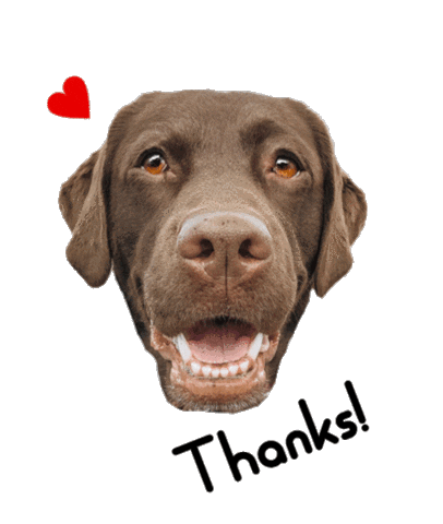 Thanks Lab Sticker for iOS & Android | GIPHY