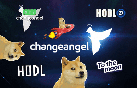 Shiba Inu Dance GIF by changeangel - Find & Share on GIPHY