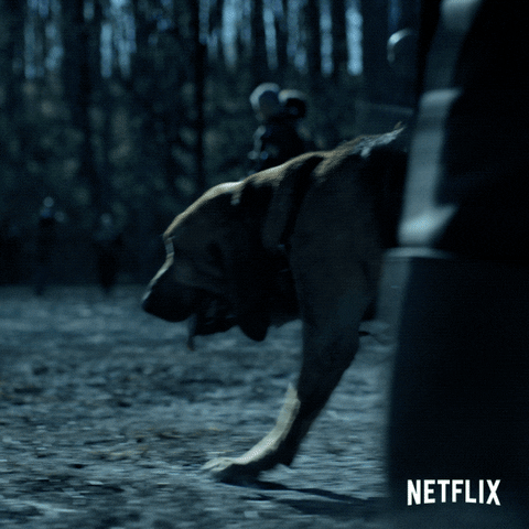 Jason Bateman GIF by NETFLIX - Find & Share on GIPHY