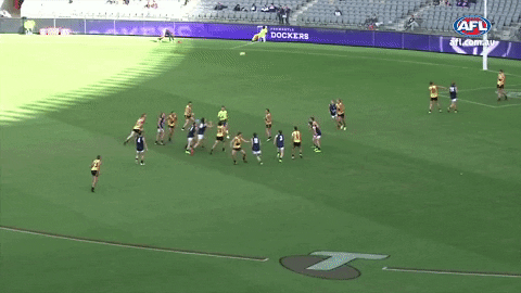 Draft Tom Mckenzie GIF by AFL - Find & Share on GIPHY