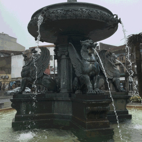 Porto GIF by Patrick Doyon - Find & Share on GIPHY