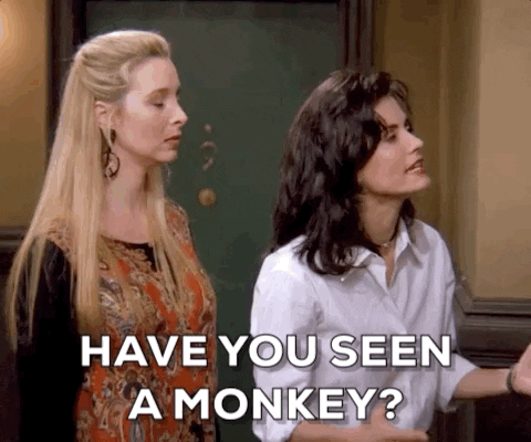 Season 1 Friends GIF - Find & Share on GIPHY