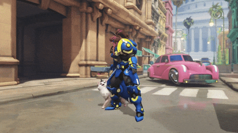 Cat Hug GIF by Boston Uprising - Find & Share on GIPHY