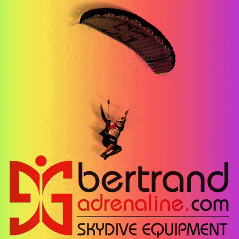 bertrand.adrenaline GIF - Find & Share on GIPHY