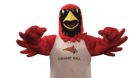 Calvert Hall College High School Sticker for iOS & Android | GIPHY