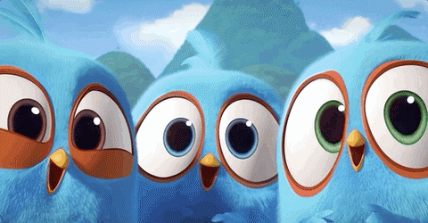 Angry Birds GIF - Find & Share on GIPHY