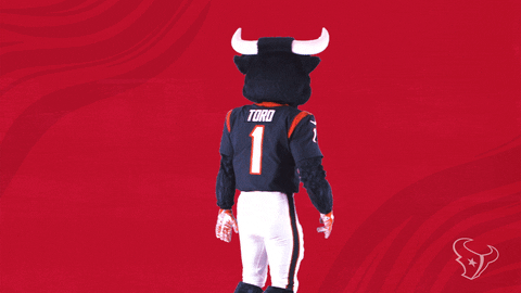 Nfl Mascot GIF by Houston Texans - Find & Share on GIPHY