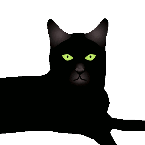 Cat Reaction Sticker for iOS & Android | GIPHY