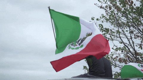 Bandera Mexicana GIFs - Get the best GIF on GIPHY