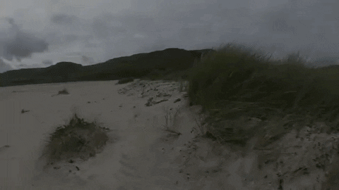 Beach Sand GIF by Oceana - Find & Share on GIPHY
