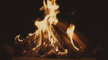Campfire GIF - Find & Share on GIPHY