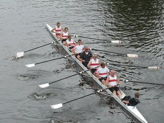 Rowing GIF - Find & Share on GIPHY