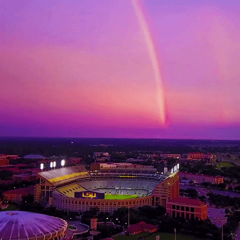 College Sports Football GIF by LSU Tigers - Find & Share on GIPHY