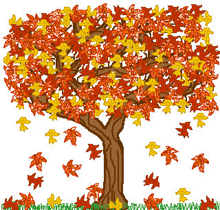 Autumn GIF - Find & Share on GIPHY