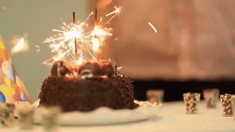 Parabens Bolo GIF by Porta Dos Fundos - Find & Share on GIPHY