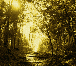 Sun GIF - Find & Share on GIPHY