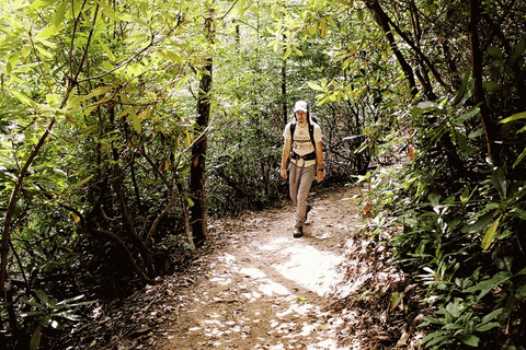 Hiking GIF - Find & Share on GIPHY