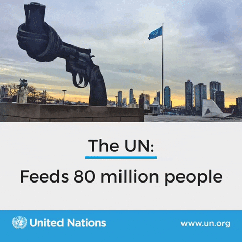 Human Rights Peace GIF by United Nations - Find & Share on GIPHY