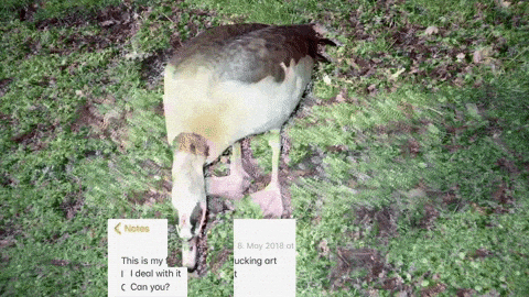 Video Art Deal With It GIF by MadaGarbea - Find & Share on GIPHY