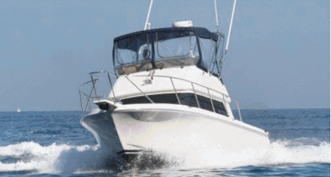 Boats GIF - Find & Share on GIPHY