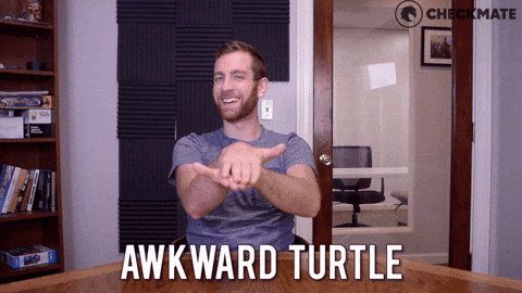 Awkward Turtle GIFs - Find & Share on GIPHY