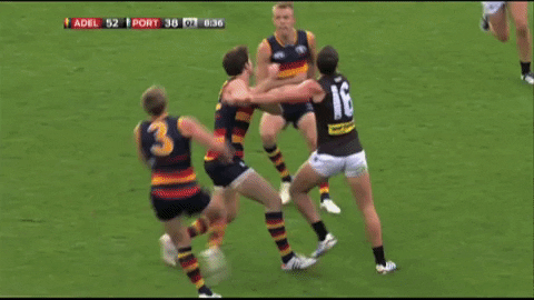 Afl Memories GIF by Adelaide Crows - Find & Share on GIPHY