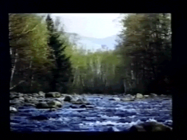 Vhs Landscape GIF - Find & Share on GIPHY